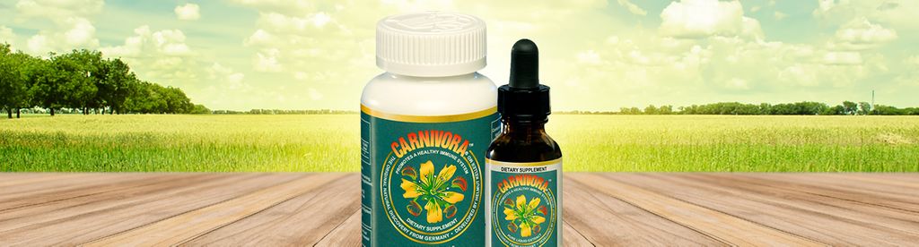 About | Carnivora Research International