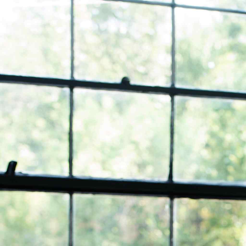 Official Website of Trackhouse Racing