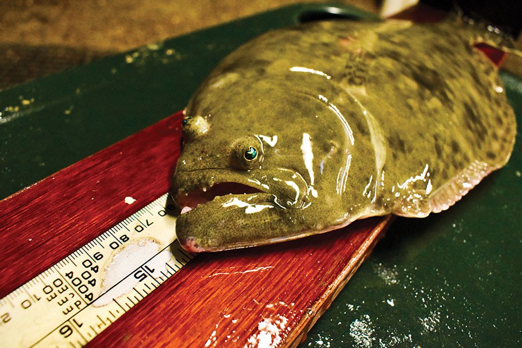 CCA Texas News and Happenings