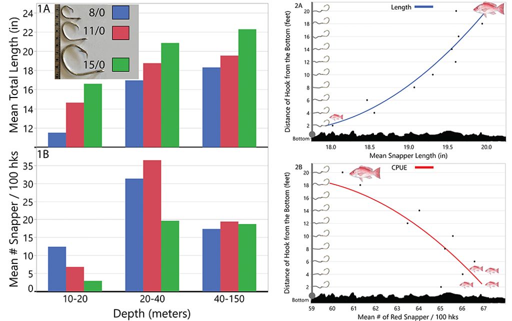 Red Snapper fishing - 2024 | 2 Cool Fishing Forum