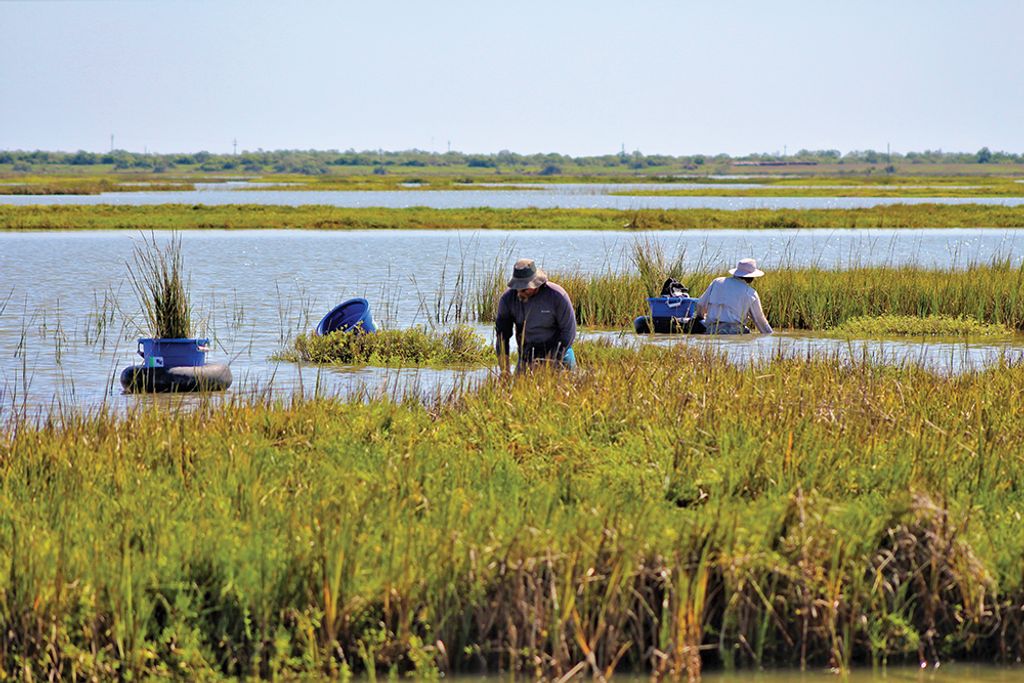 Egery Flats Project Produces Positive Results