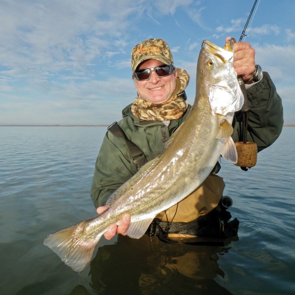 Hooked Up: December 2017