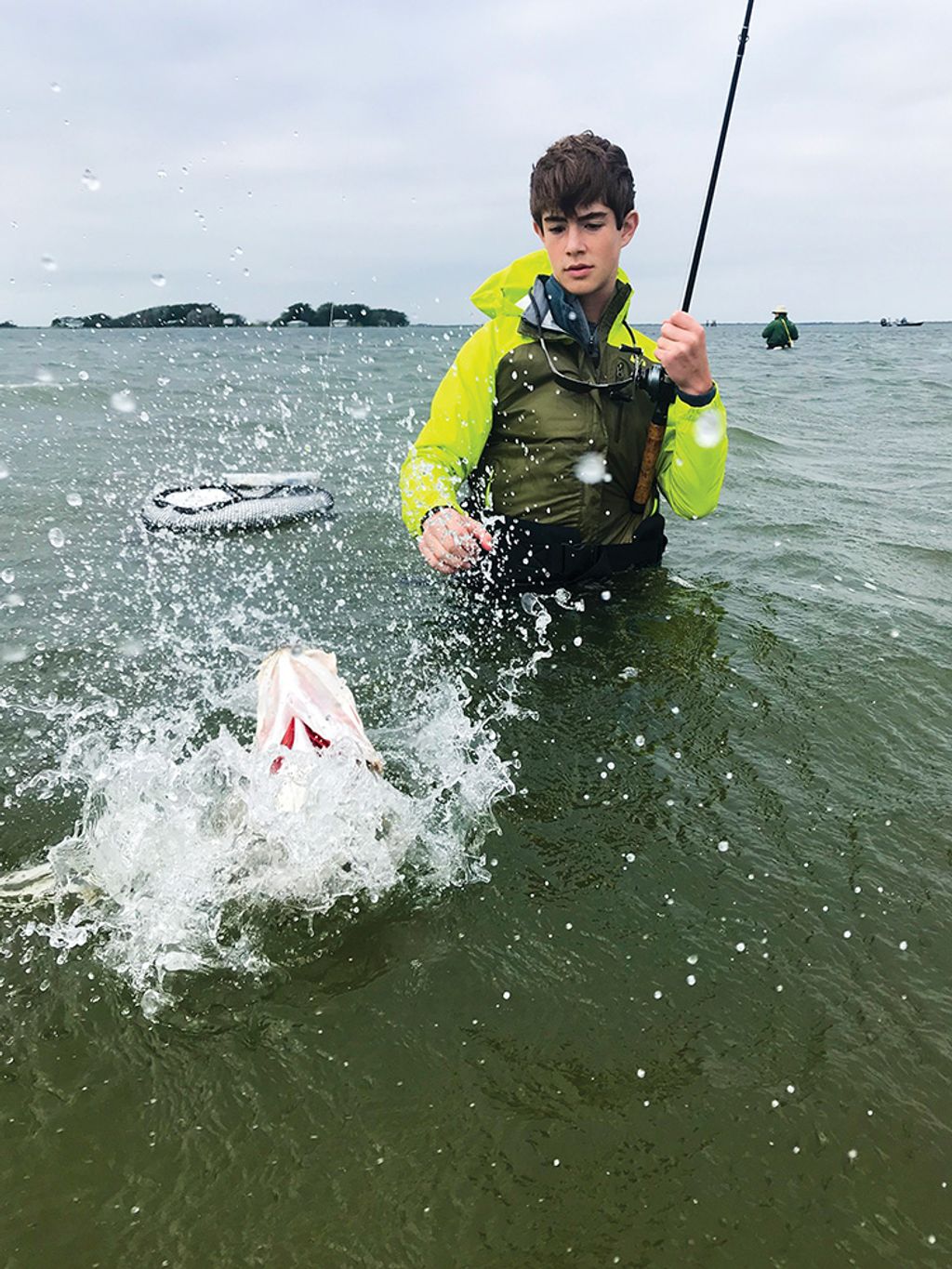 Hooked Up: December 2018