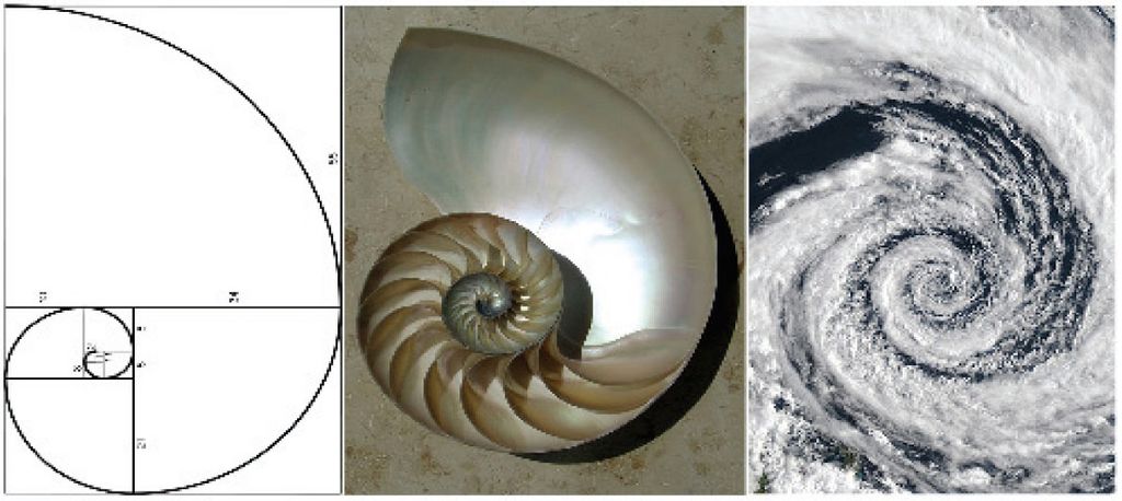 Math Under the Waves