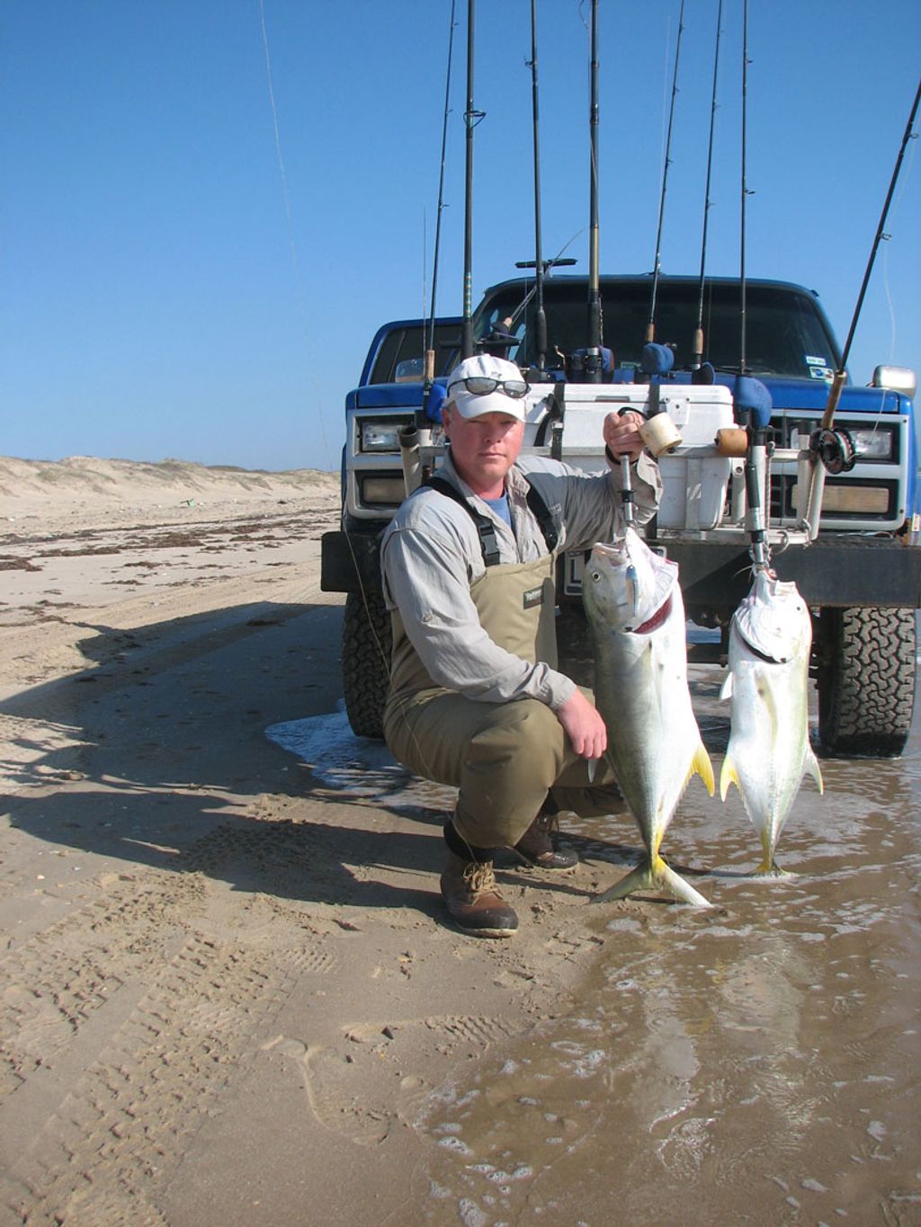 New Regulations, Choices and Updates