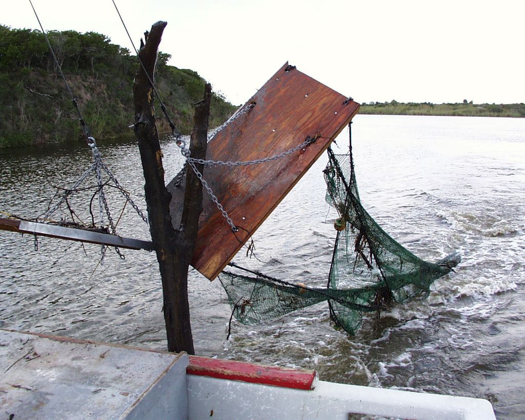 Visiting the Arroyo Colorado
