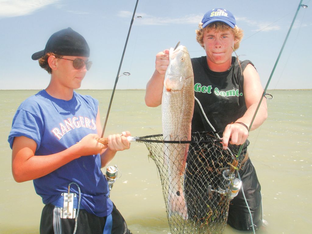 The Newness of Newbies...How Fun!