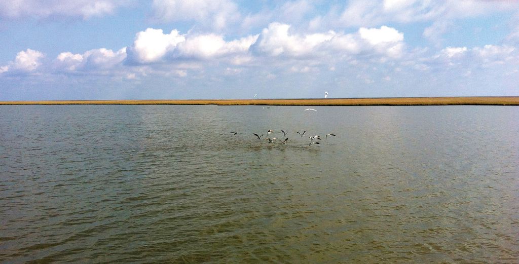 Hallelujah—Fall is here!