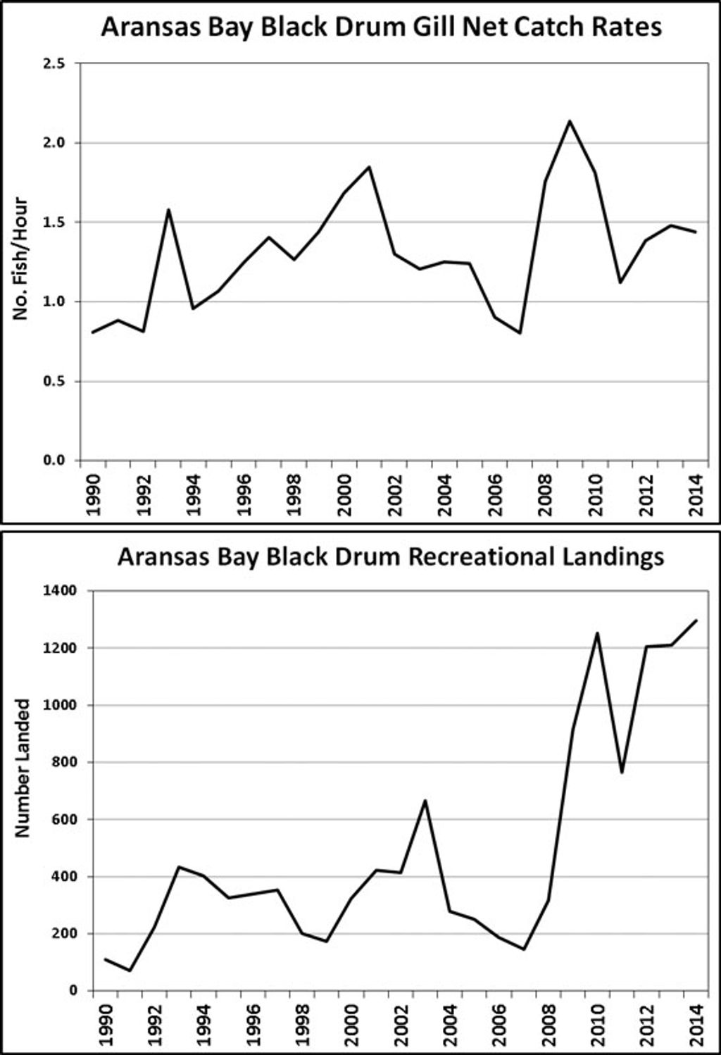 Drumming Up Some Fun