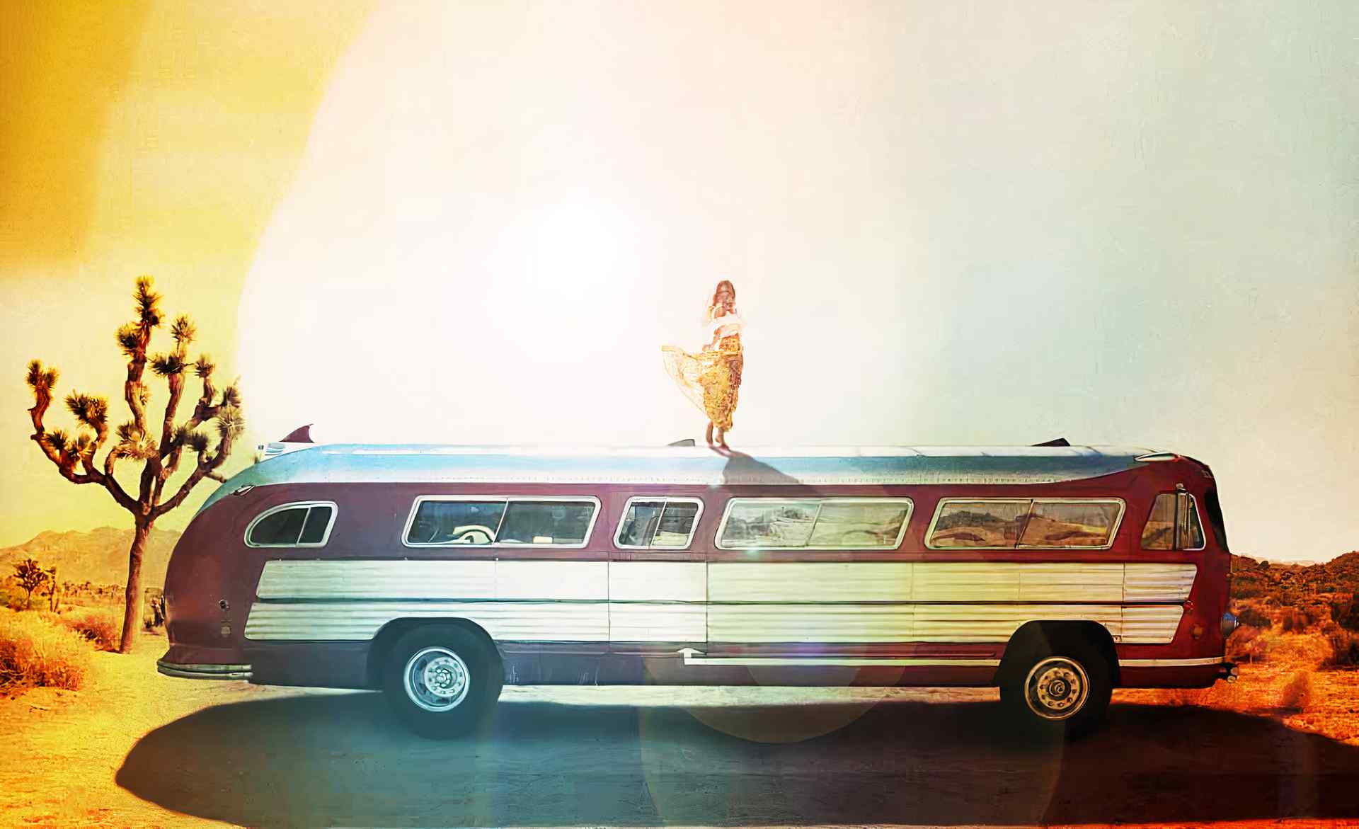 Official Tano Jones Revelry Website | Tano Jones Revelry