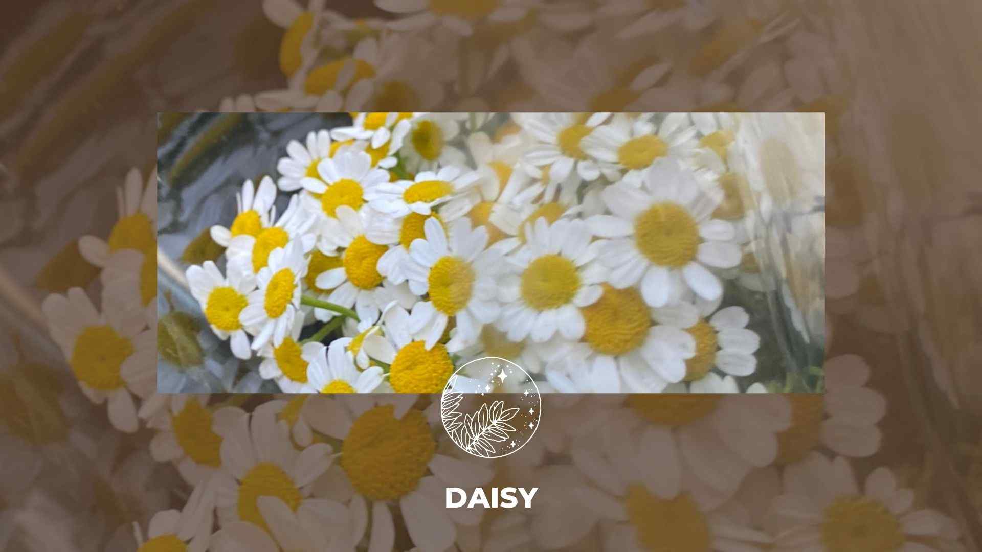 Official Tano Jones Revelry Website | Tano Jones Revelry