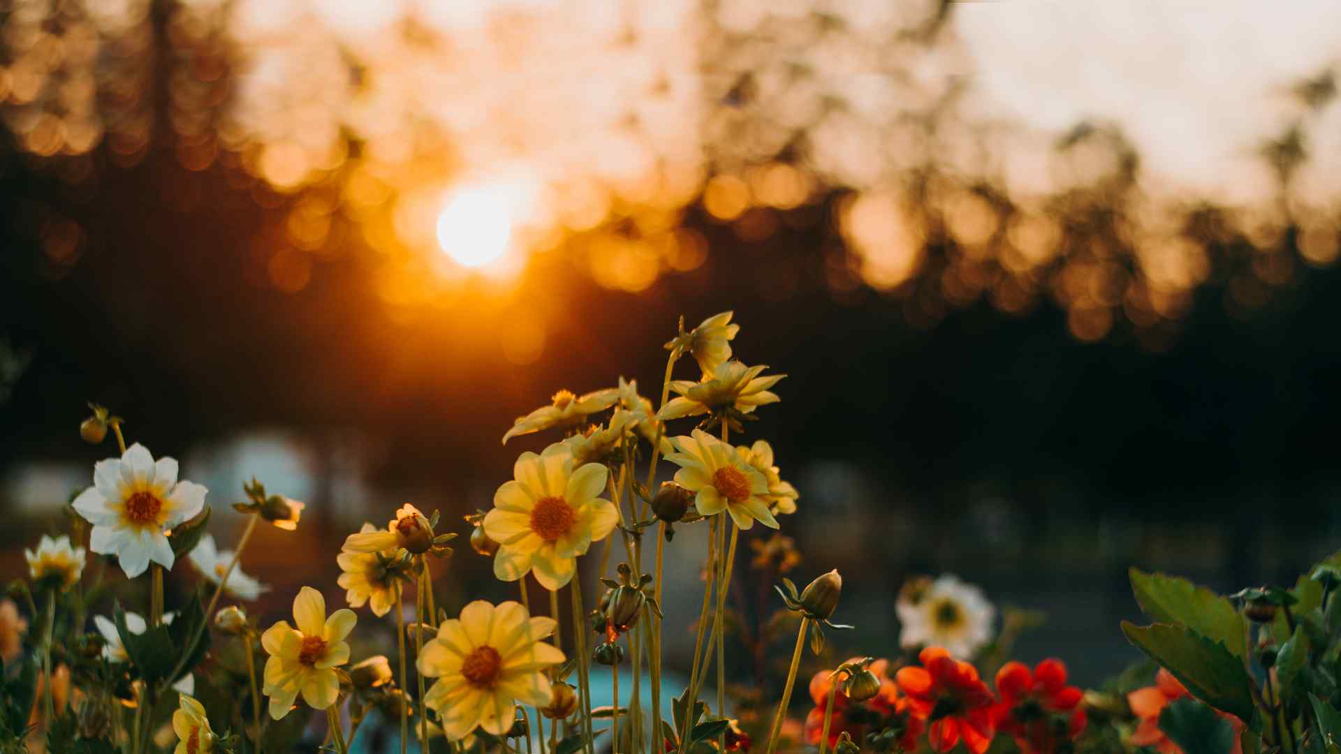 Official Tano Jones Revelry Website | Tano Jones Revelry