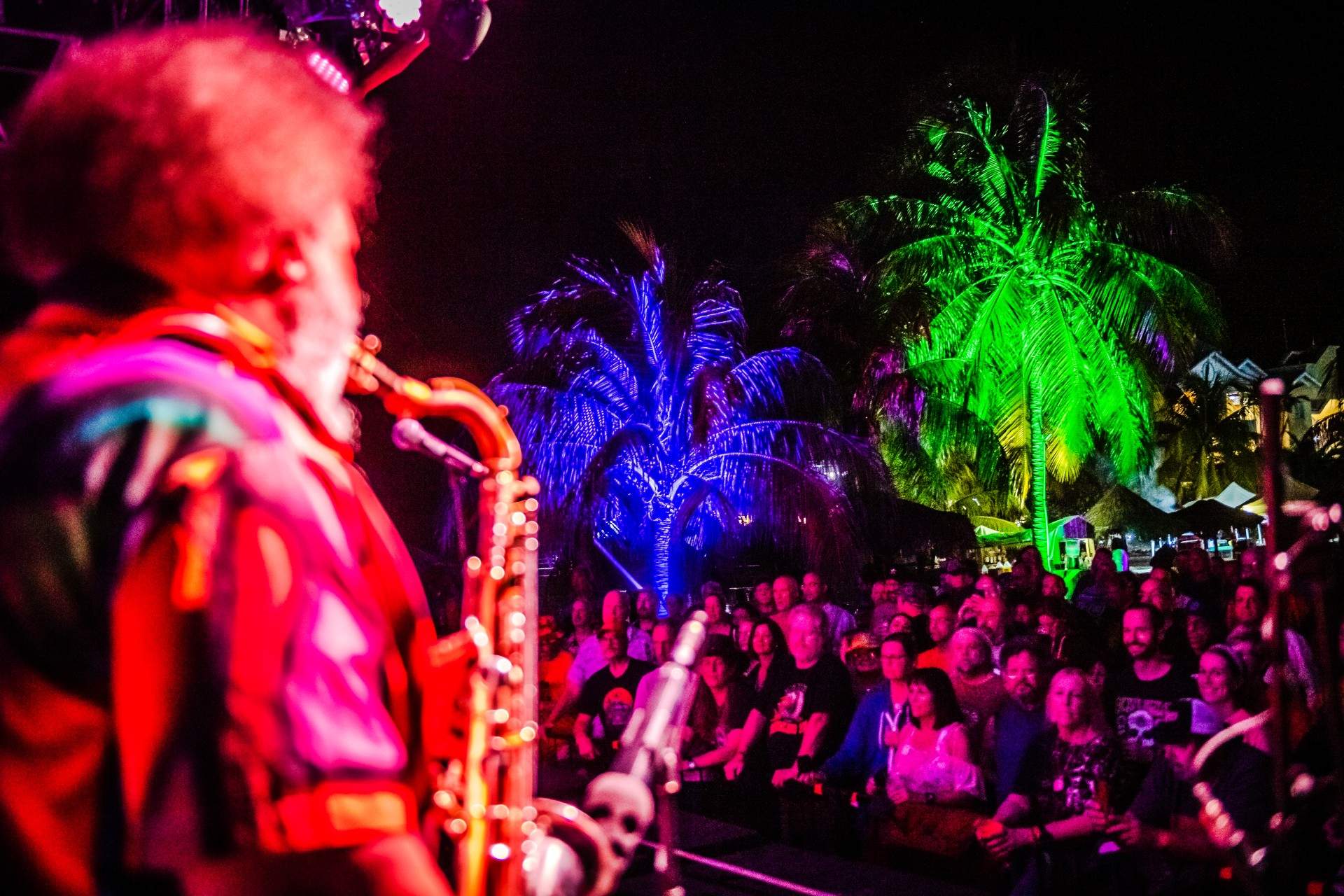 Gov't Mule's Island Exodus 15