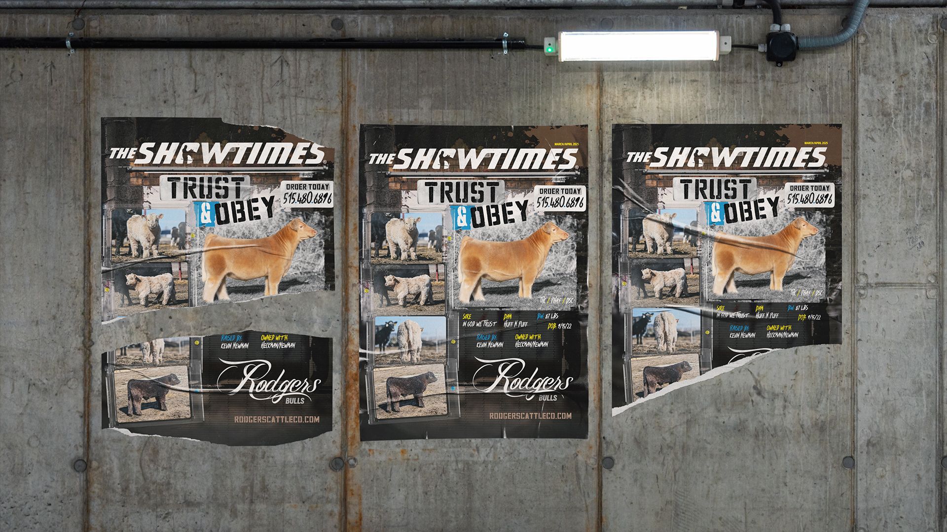 Official Website of The Showtimes Magazine