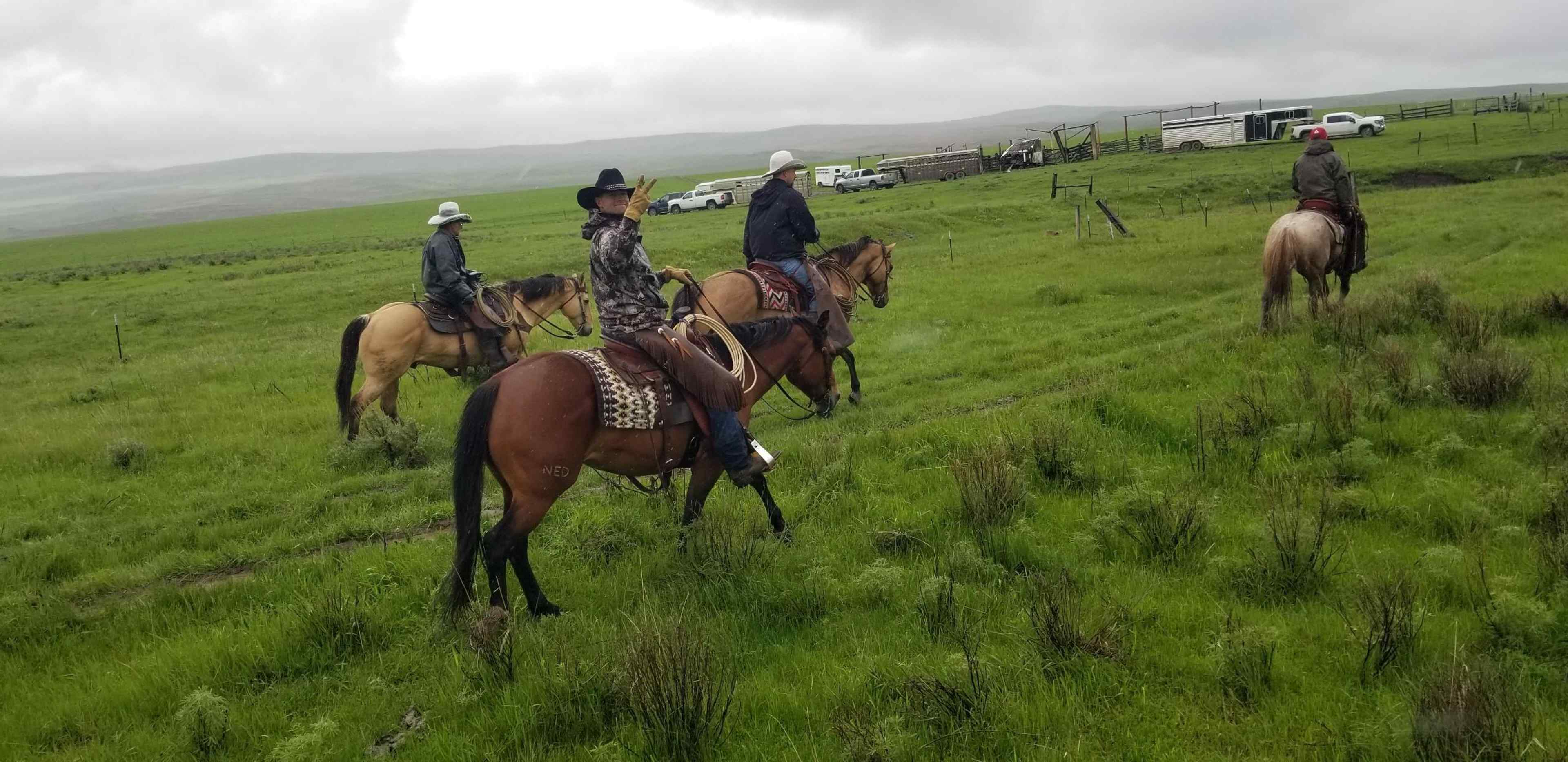 Official Rob Wolf Website | Rob Wolf